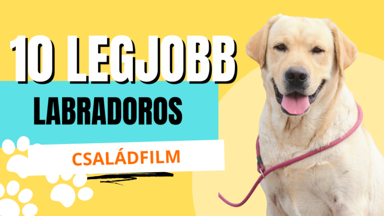 A 10 legjobb labradoros kaland- és családifilm – Countrybelle Labrador ...